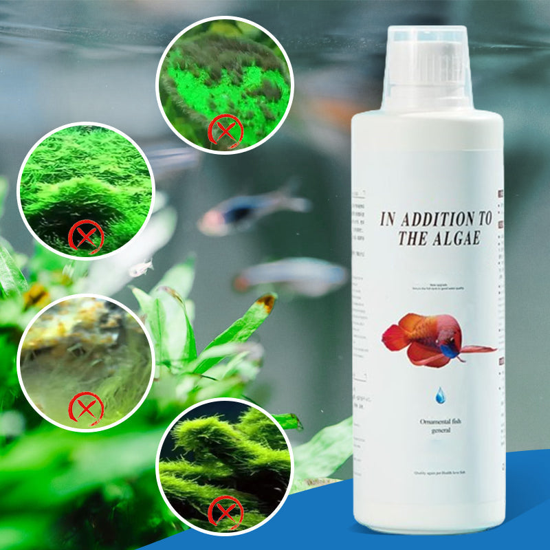 ⏳Limited time 50% OFF⏳Effective Algae Control for Aquarium – formsself